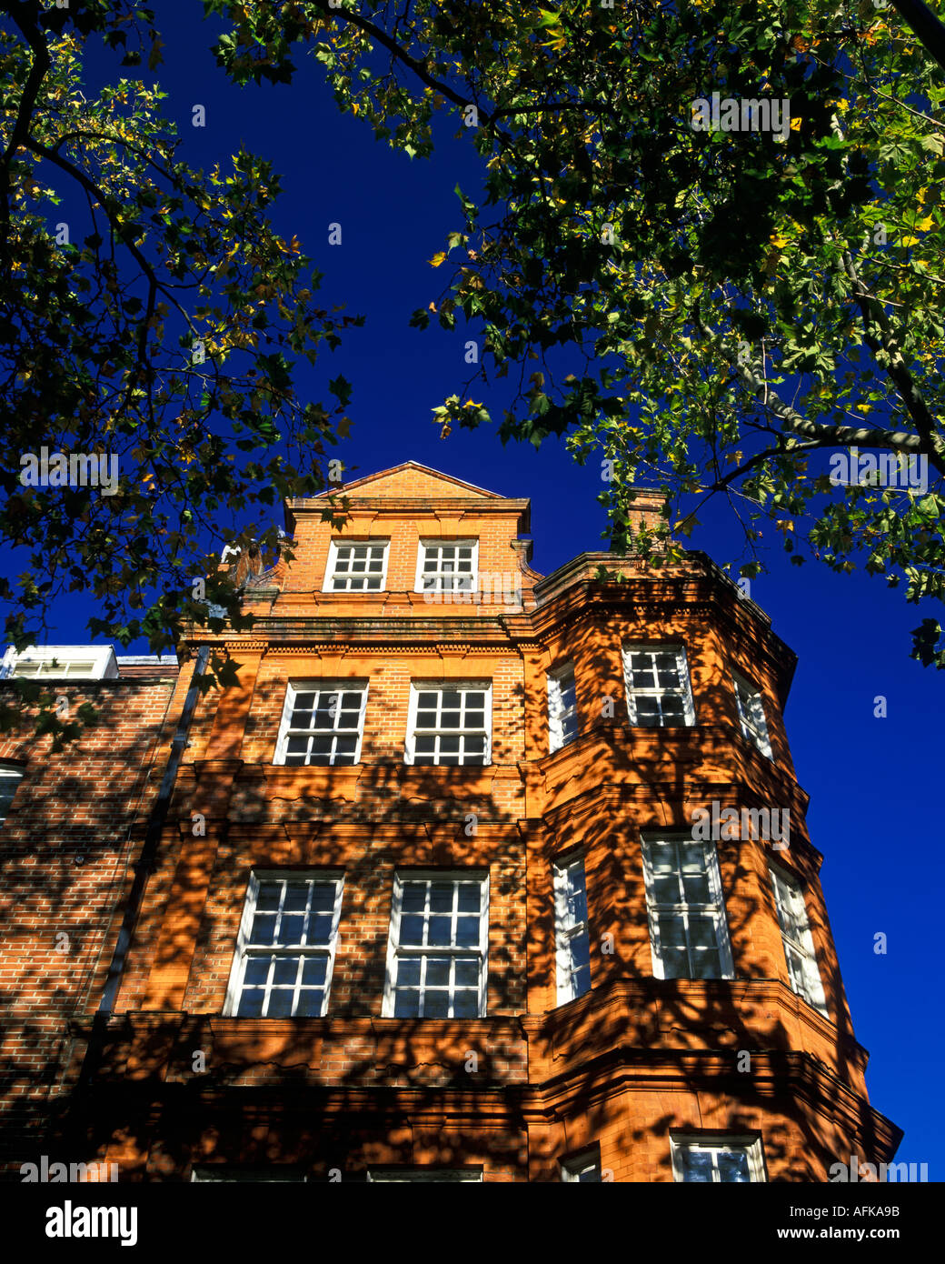 Chelsea embankment -Fotos und -Bildmaterial in hoher Auflösung – Alamy