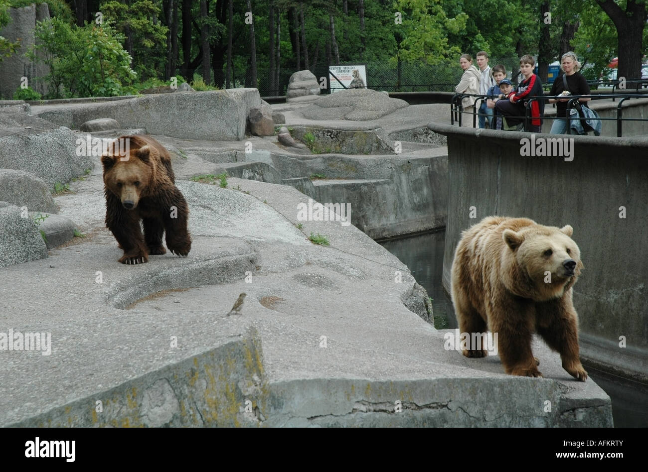 Warszawa praga polnoc -Fotos und -Bildmaterial in hoher Auflösung – Alamy