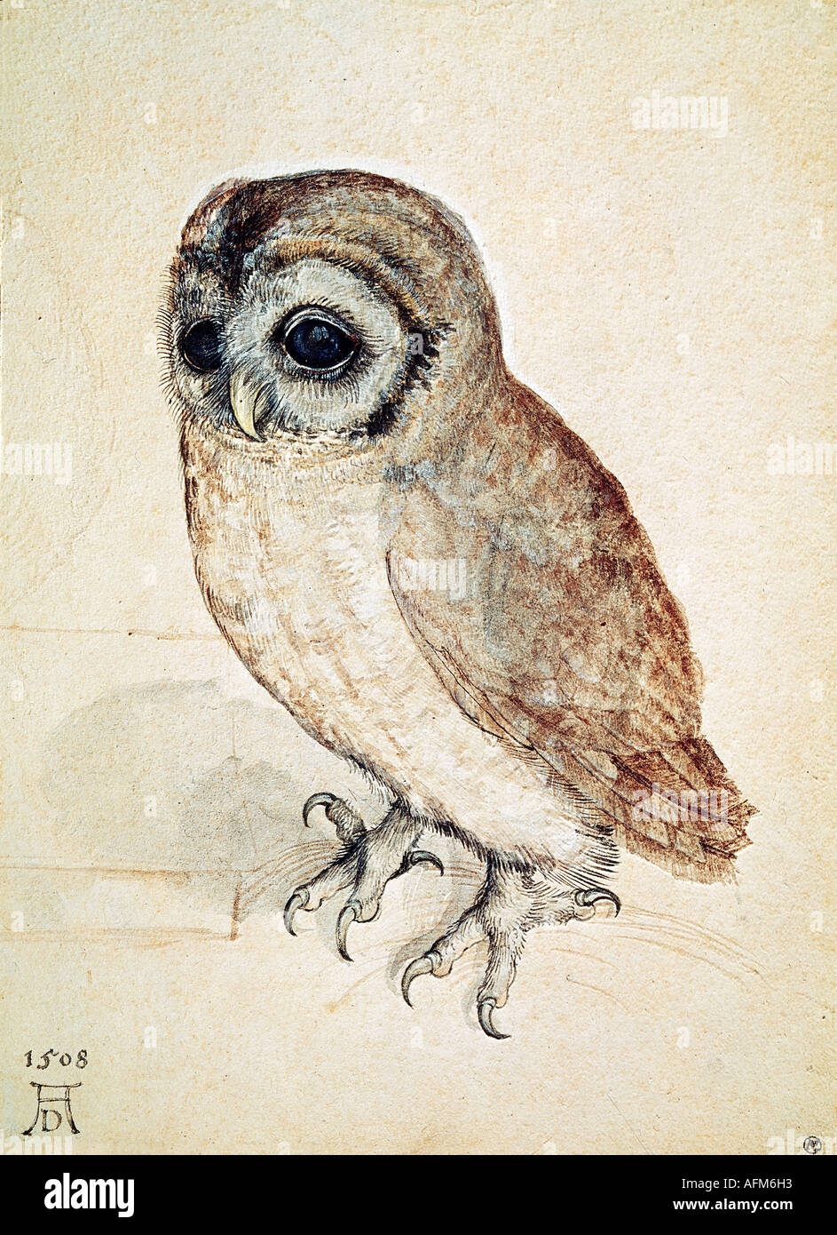 Eule und Bleistift Stockfotos und -bilder Kaufen - Alamy