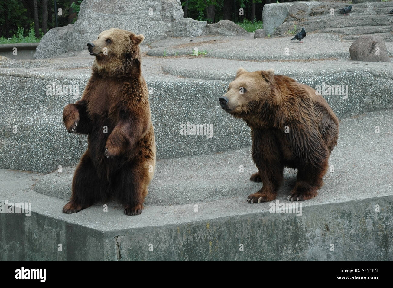 Warszawa praga polnoc -Fotos und -Bildmaterial in hoher Auflösung – Alamy