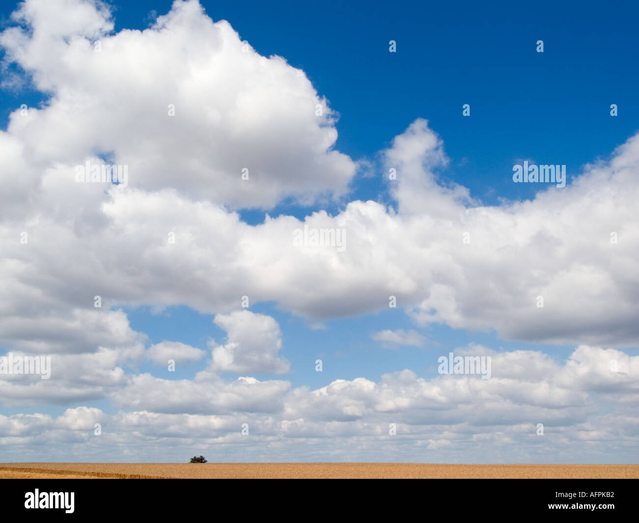 BLAUER Himmel und CUMULUS Wolken England UK Stockfotografie - Alamy