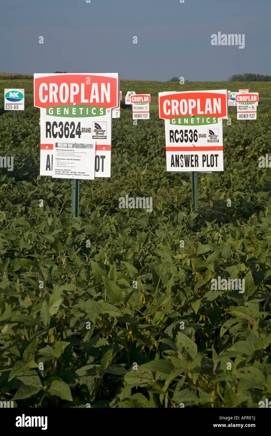 Croplan genetik -Fotos und -Bildmaterial in hoher Auflösung – Alamy