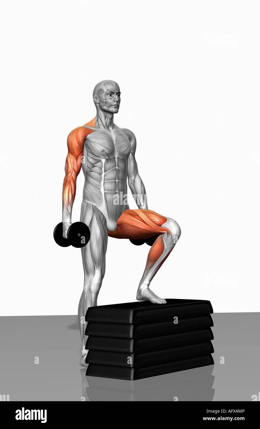 Hantel Step-up-Übung (Teil2 von 2 Stockfotografie - Alamy