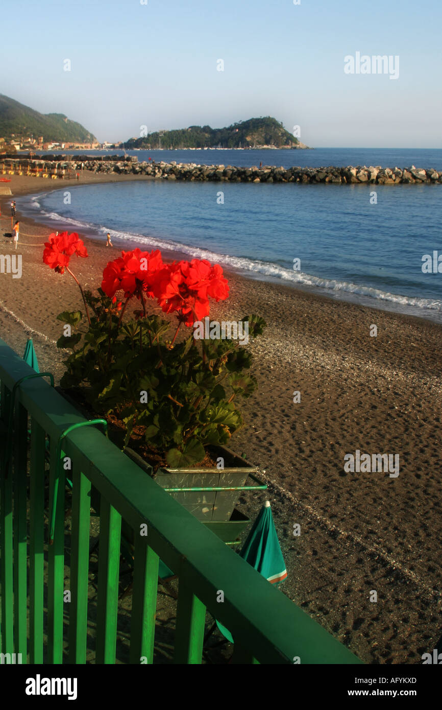Beach lavagna liguria -Fotos und -Bildmaterial in hoher Auflösung – Alamy
