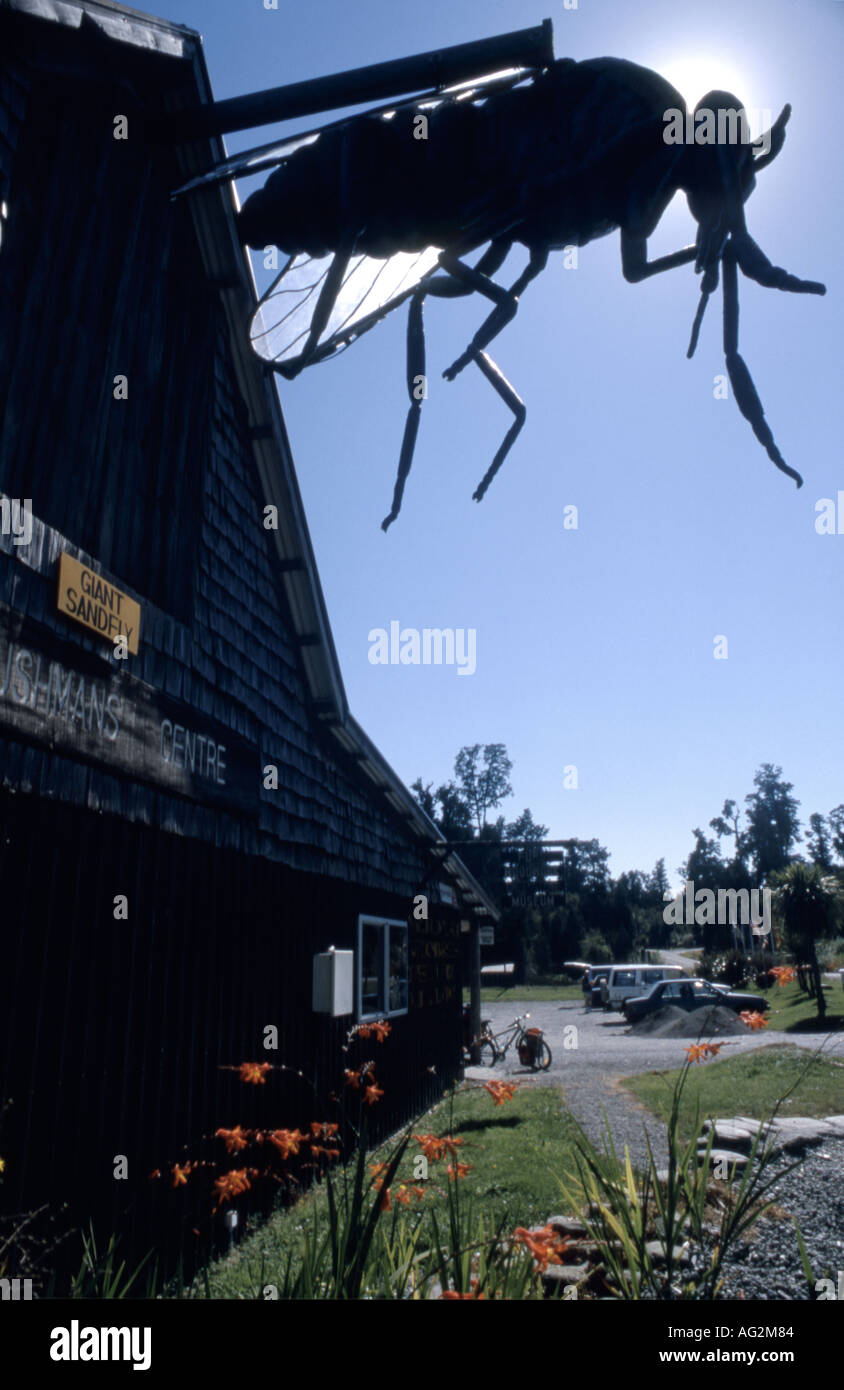 Sandfliege biss -Fotos und -Bildmaterial in hoher Auflösung – Alamy