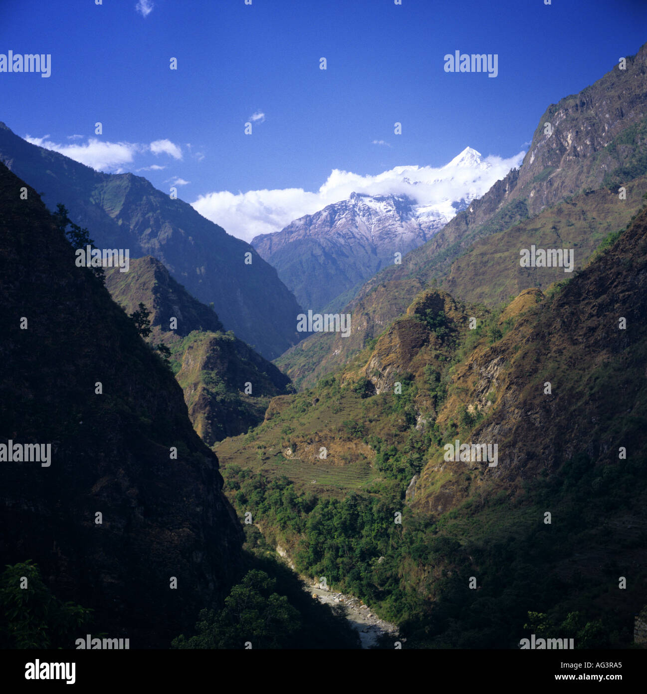 Himalaya rettungsverband -Fotos und -Bildmaterial in hoher Auflösung ...