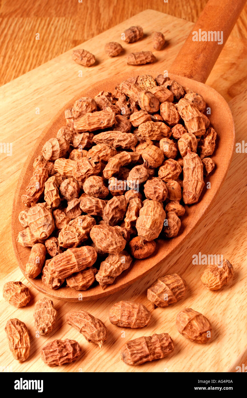 Rush nuss -Fotos und -Bildmaterial in hoher Auflösung – Alamy