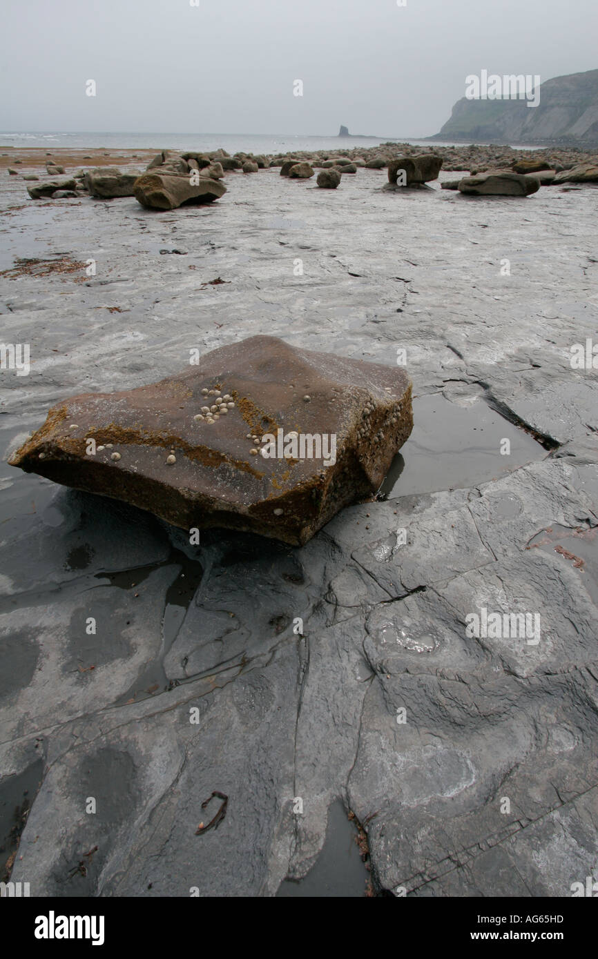 Saltburn bay -Fotos und -Bildmaterial in hoher Auflösung – Alamy