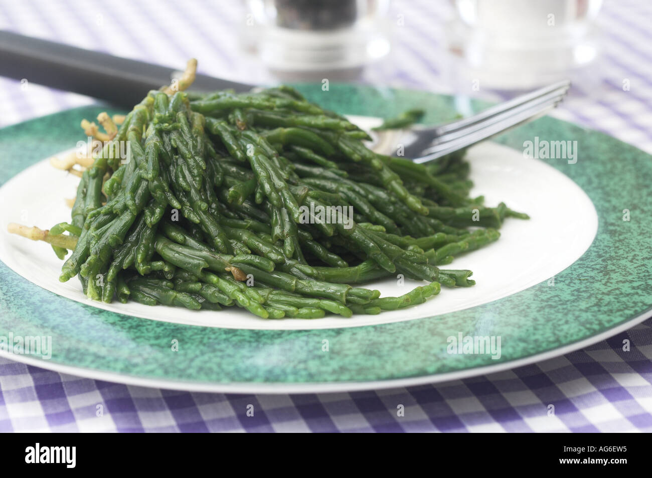 Salicornia spp -Fotos und -Bildmaterial in hoher Auflösung – Alamy
