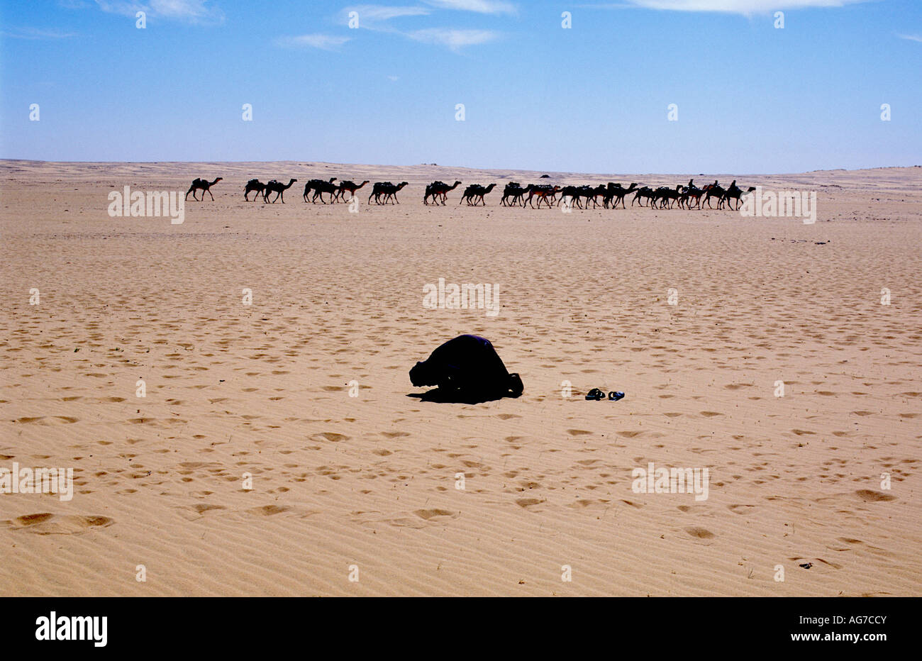 Niger Tenere Tuareg Stamm dabei traditionelle Salz Wohnwagen aus Agadez ...