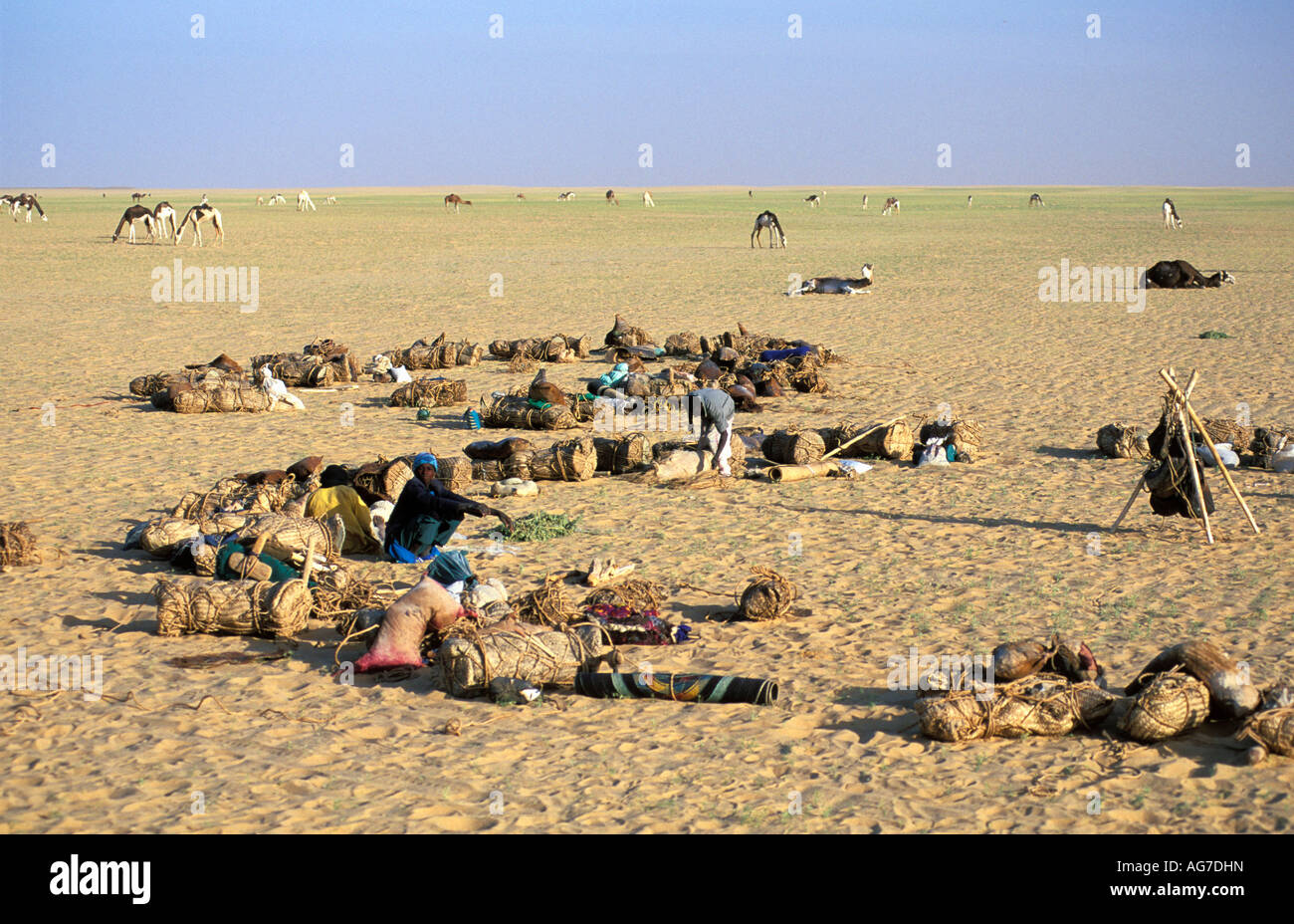 Fachi bilma -Fotos und -Bildmaterial in hoher Auflösung – Alamy