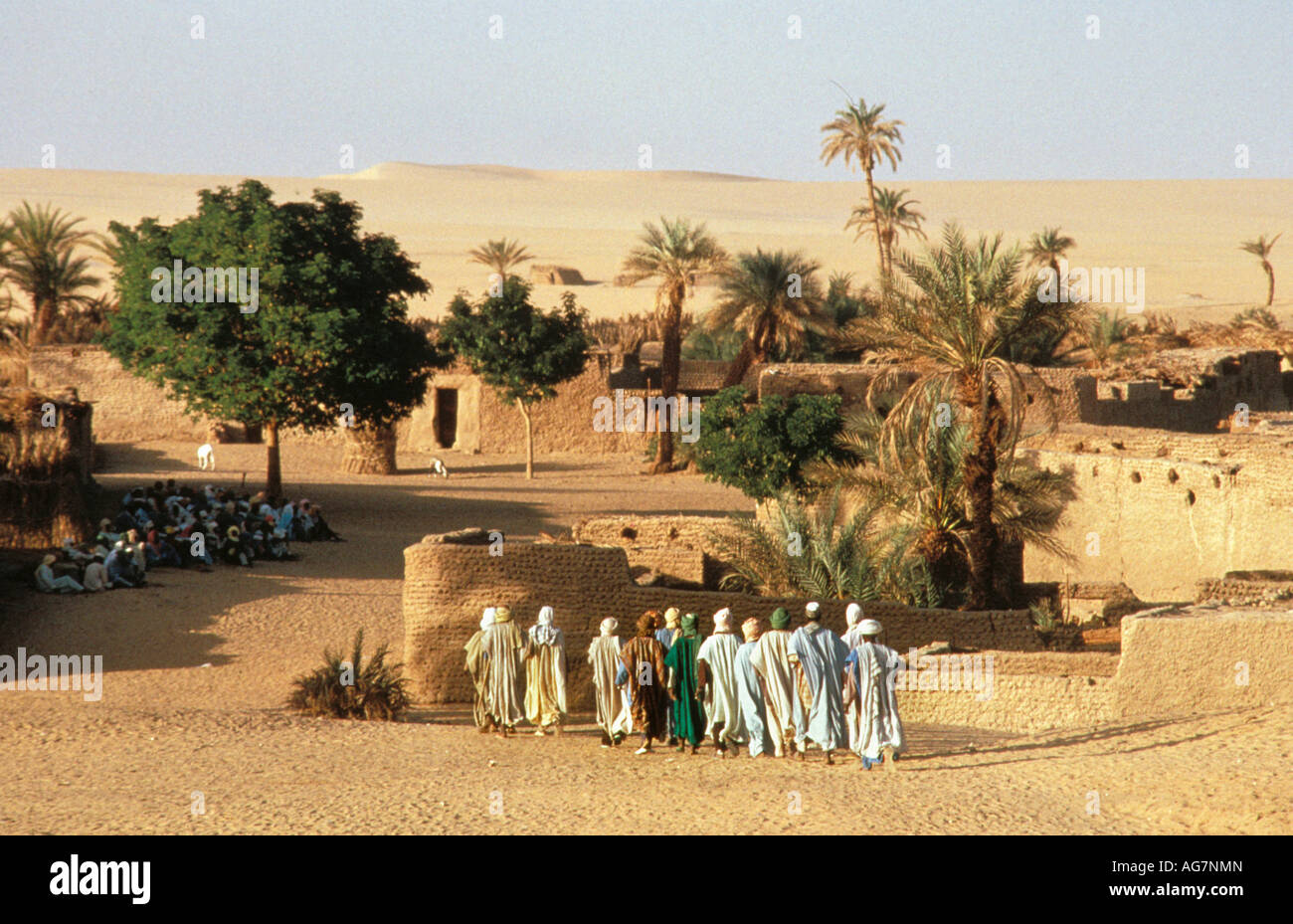 Fachi bilma -Fotos und -Bildmaterial in hoher Auflösung – Alamy