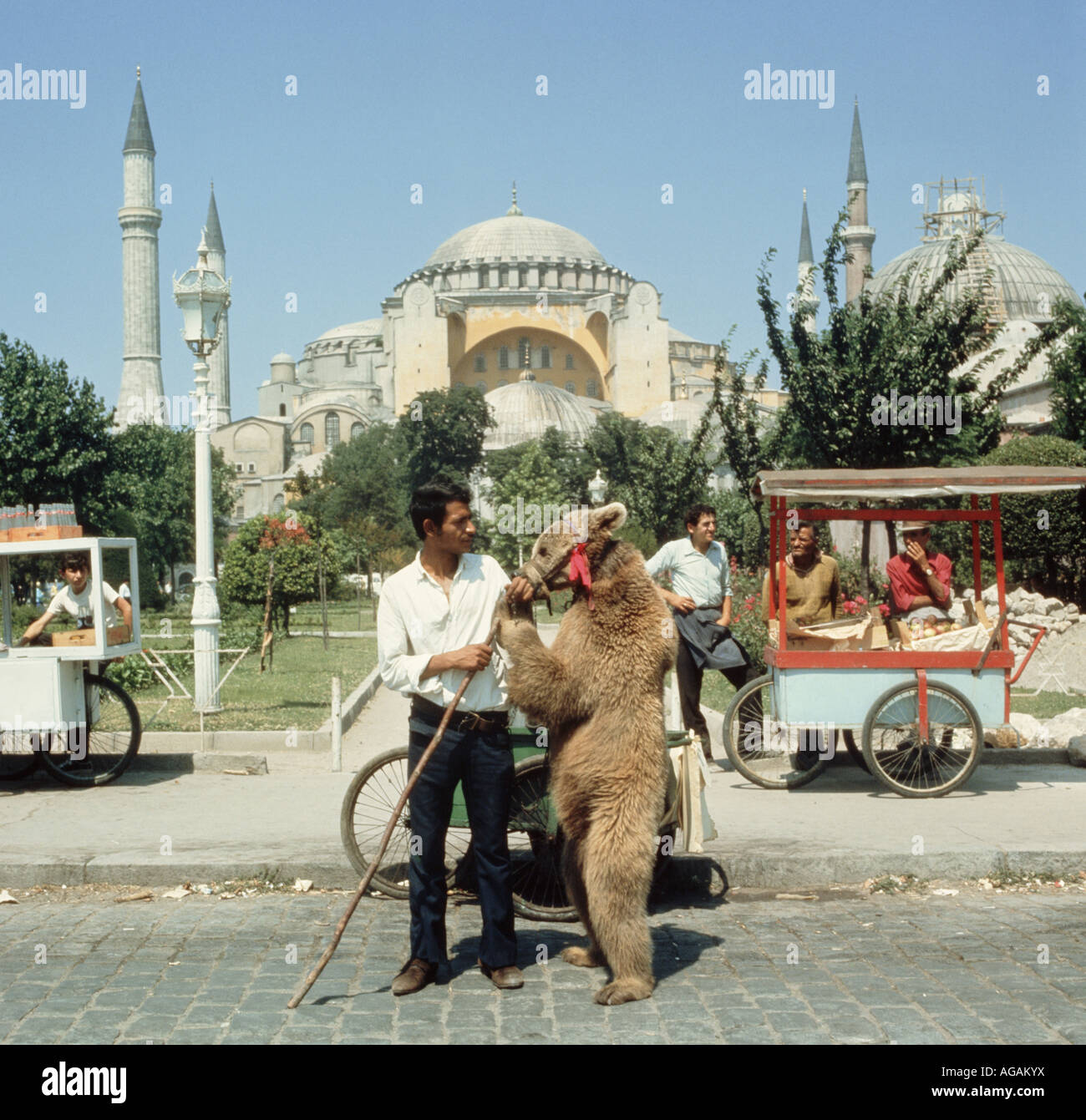 Dancing bears -Fotos und -Bildmaterial in hoher Auflösung – Alamy