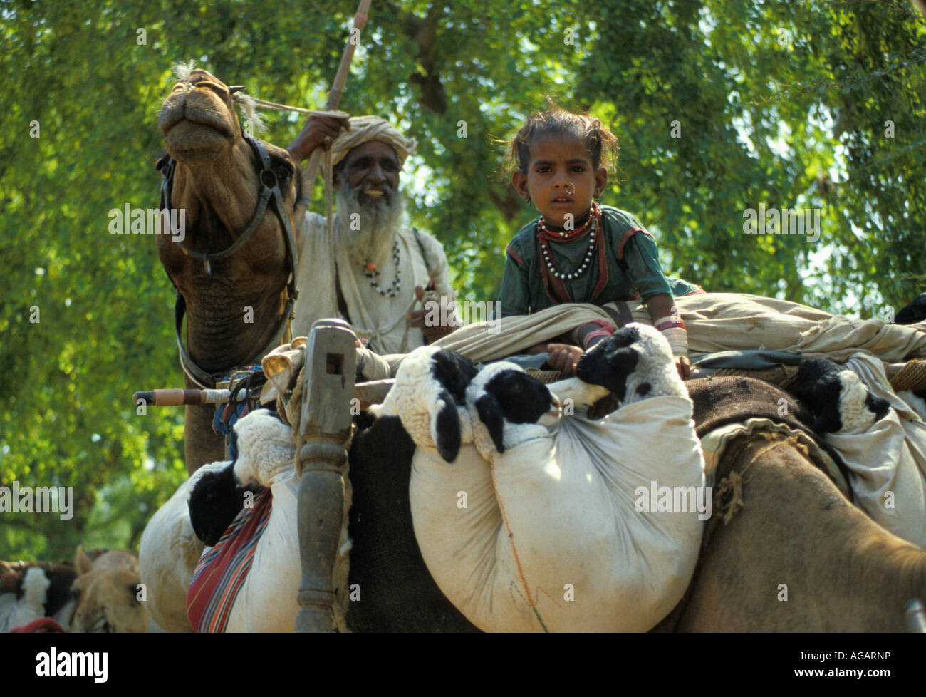 Nomaden auf kamelen -Fotos und -Bildmaterial in hoher Auflösung – Alamy