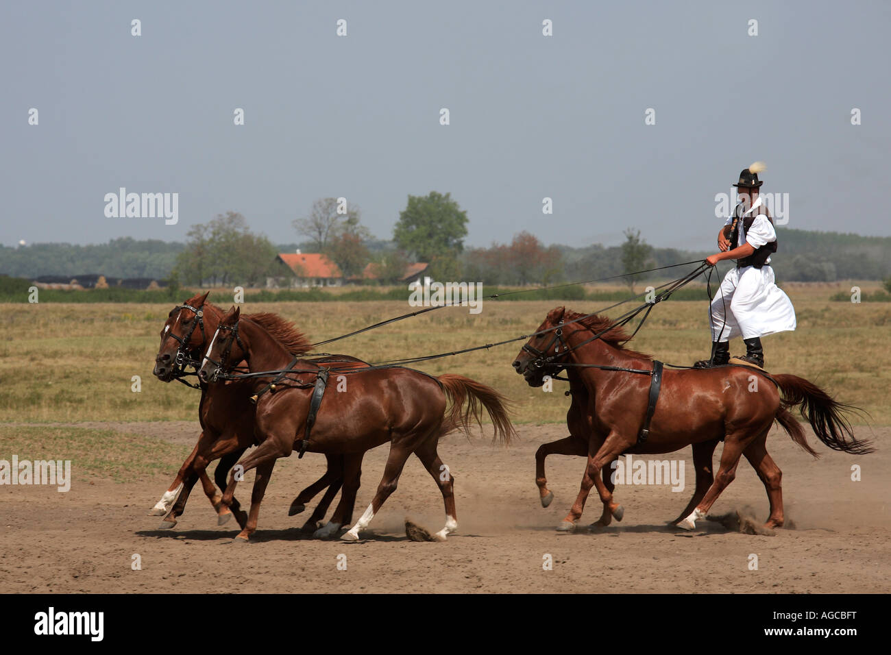 Bugac puszta -Fotos und -Bildmaterial in hoher Auflösung – Alamy