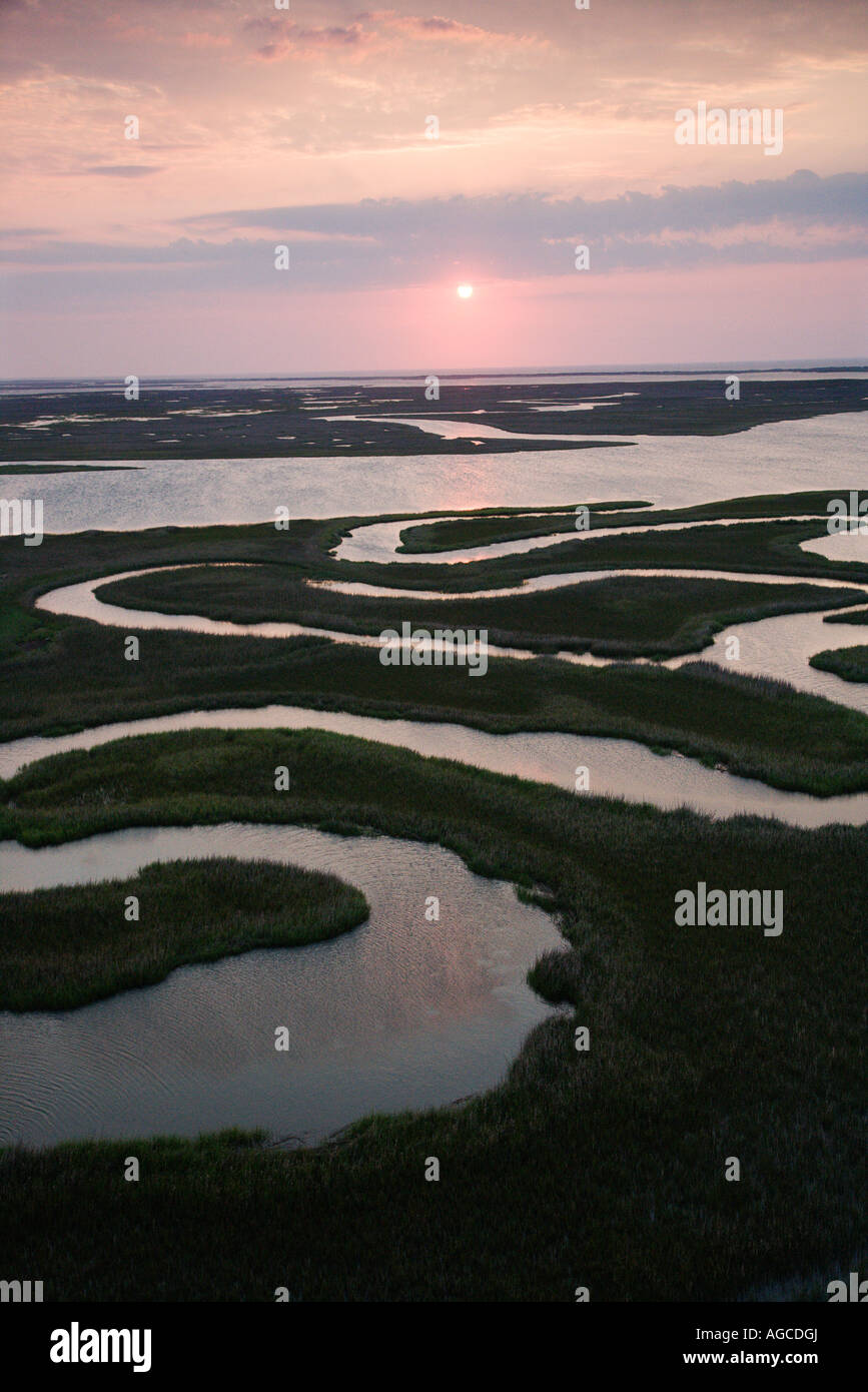 Marschland north carolina -Fotos und -Bildmaterial in hoher Auflösung ...