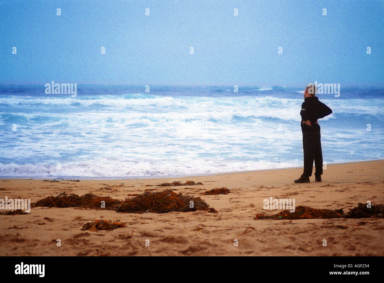 Vom meer gestrandet -Fotos und -Bildmaterial in hoher Auflösung – Alamy