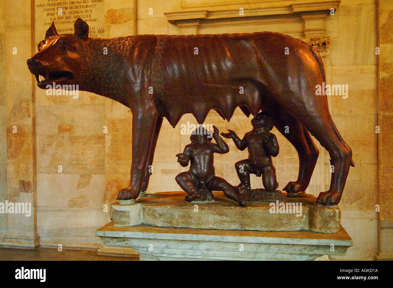 Ficus ruminalis -Fotos und -Bildmaterial in hoher Auflösung – Alamy
