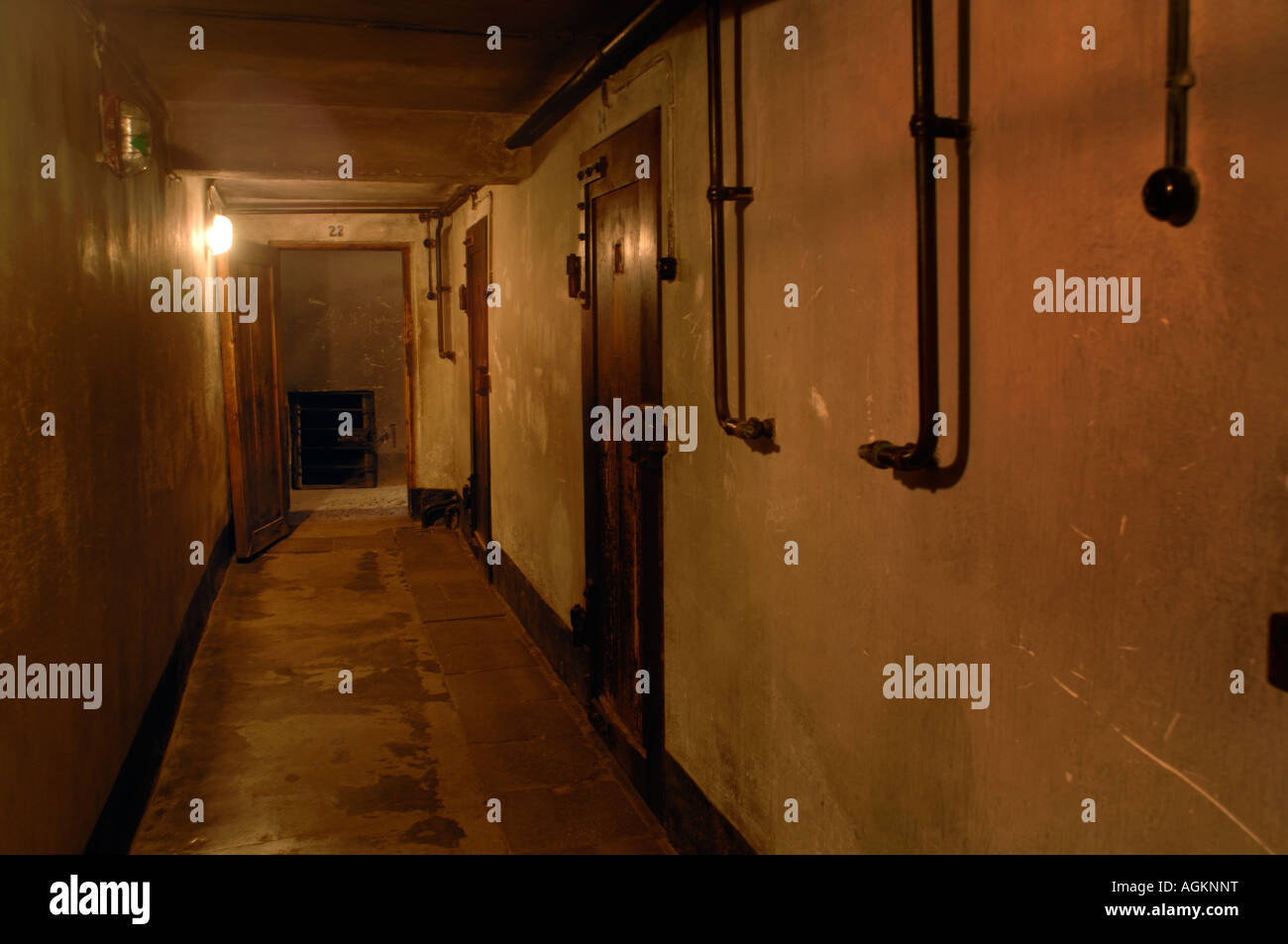 Block 11 auschwitz -Fotos und -Bildmaterial in hoher Auflösung – Alamy