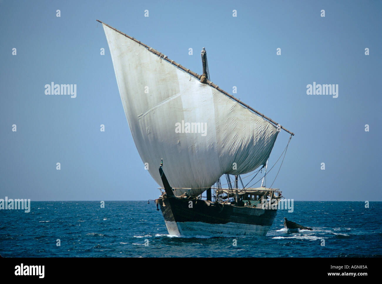 Dhau In Vollen Segeln Stockfotos und -bilder Kaufen - Alamy