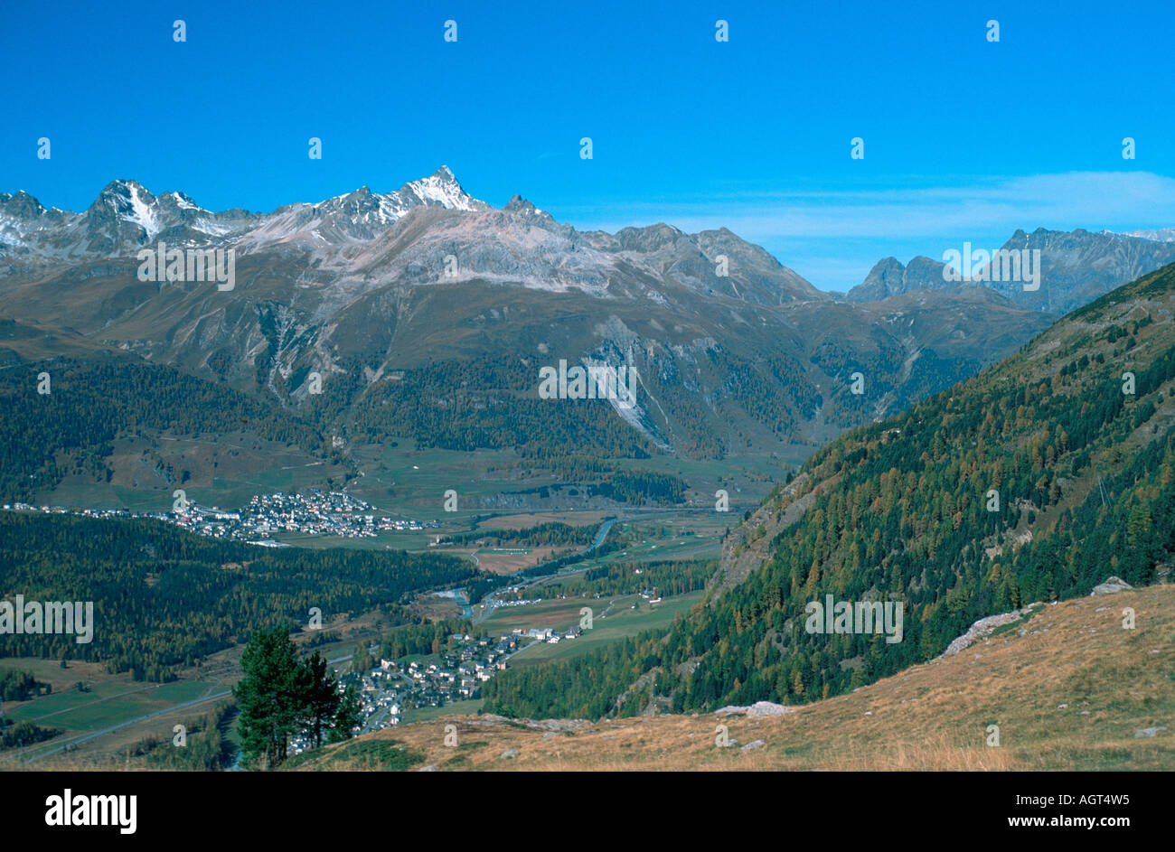 Alp languard -Fotos und -Bildmaterial in hoher Auflösung – Alamy