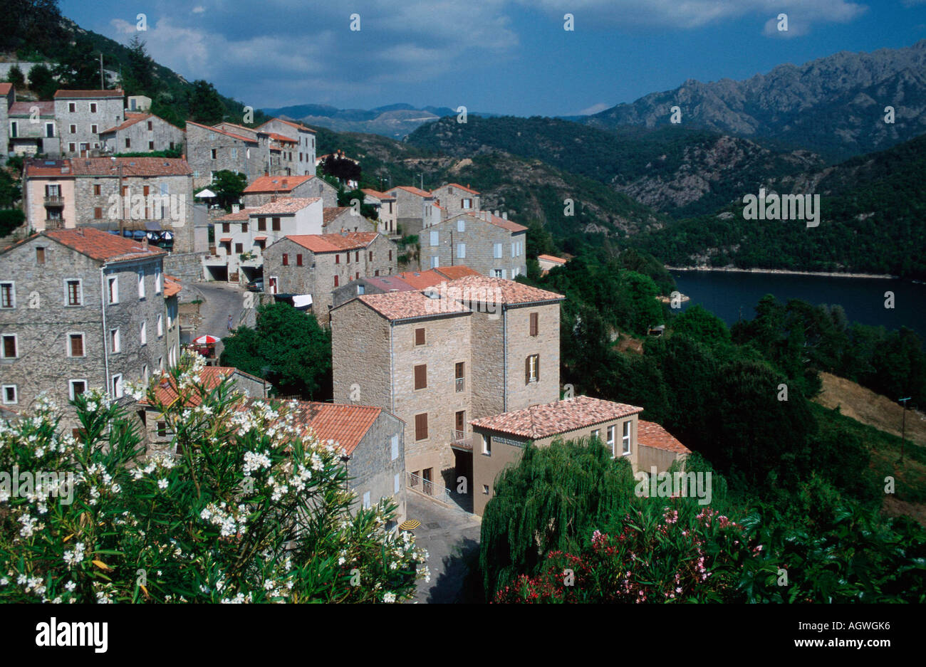 Tolla corsica -Fotos und -Bildmaterial in hoher Auflösung – Alamy
