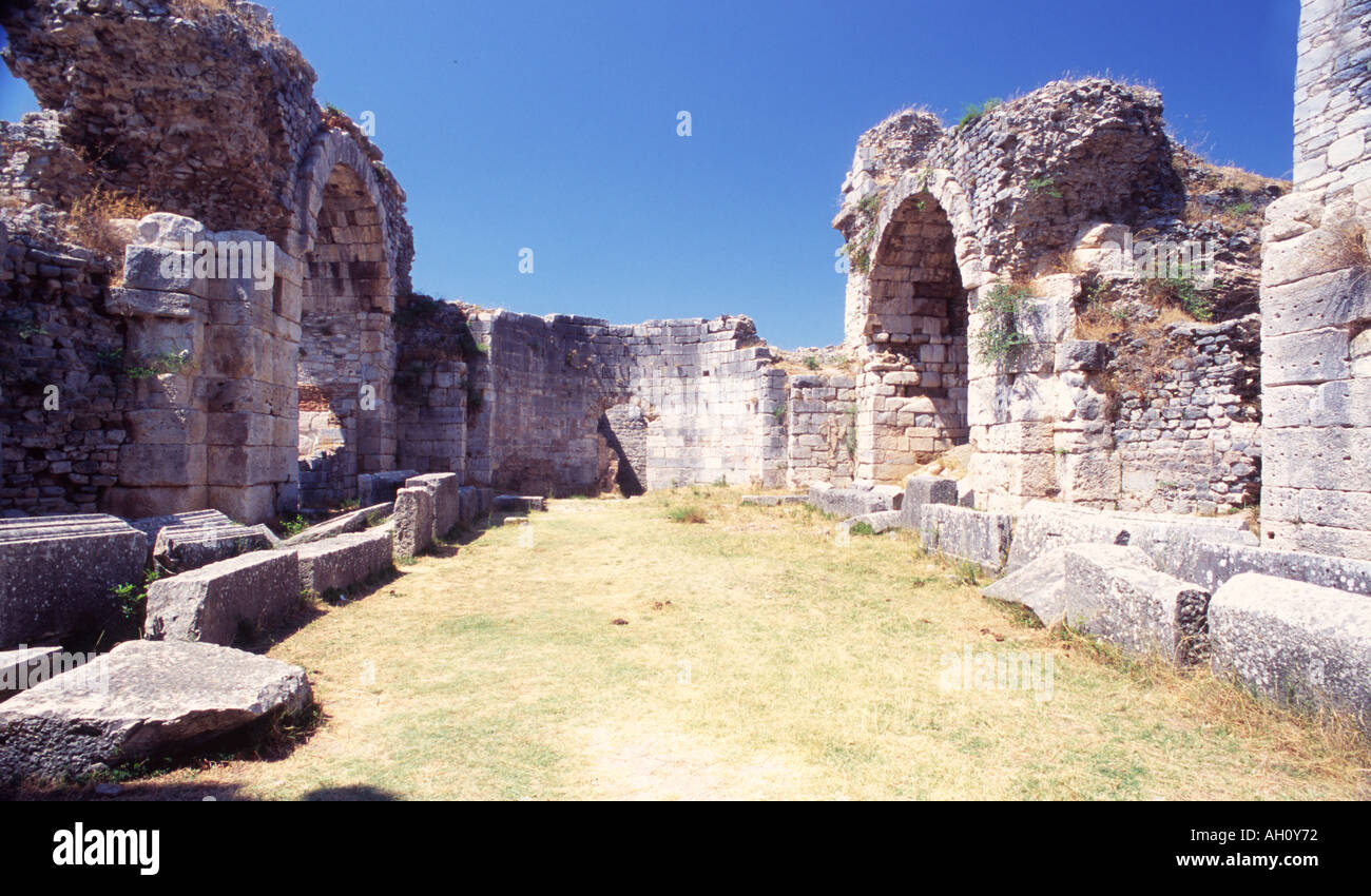 Faustina miletus -Fotos und -Bildmaterial in hoher Auflösung – Alamy