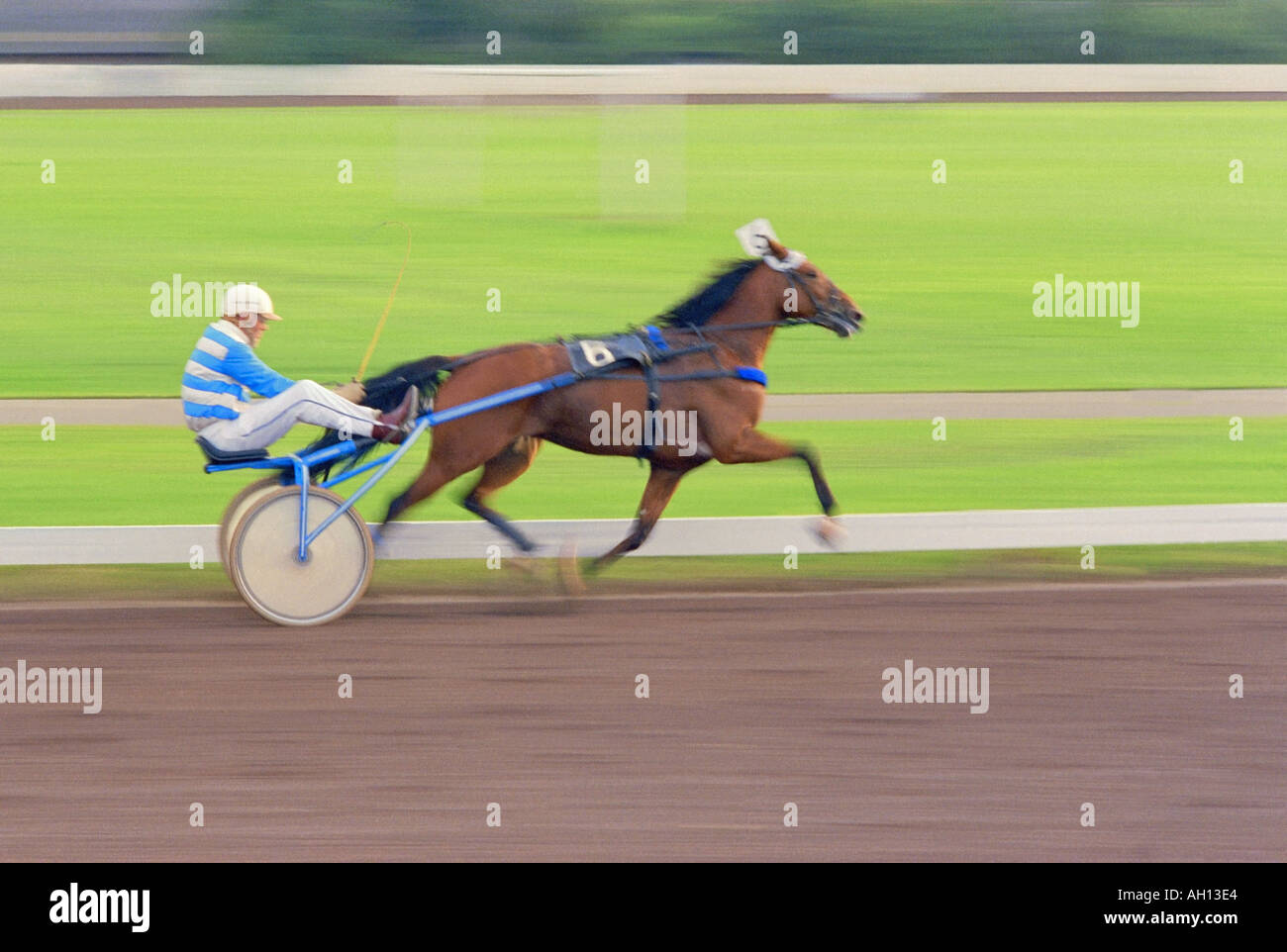 Sulky cart -Fotos und -Bildmaterial in hoher Auflösung – Alamy