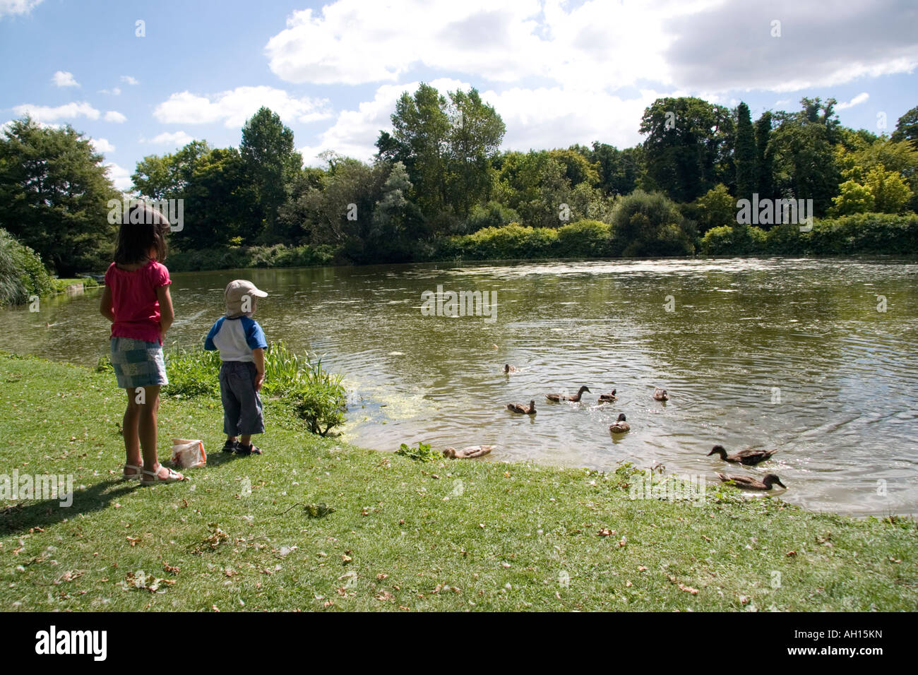 Enten kinder -Fotos und -Bildmaterial in hoher Auflösung – Alamy