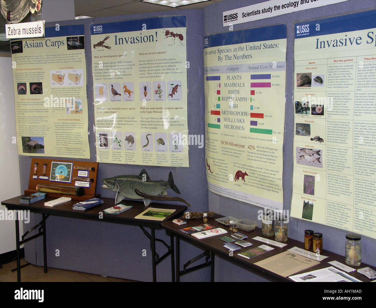 Offene displays -Fotos und -Bildmaterial in hoher Auflösung – Alamy