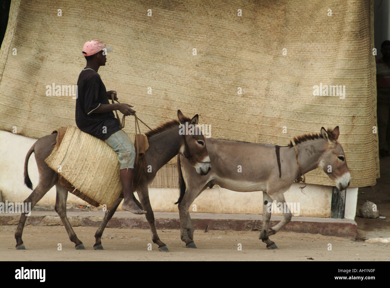 Ein Mann einen Esel reiten, an der Uferpromenade in der Altstadt von ...