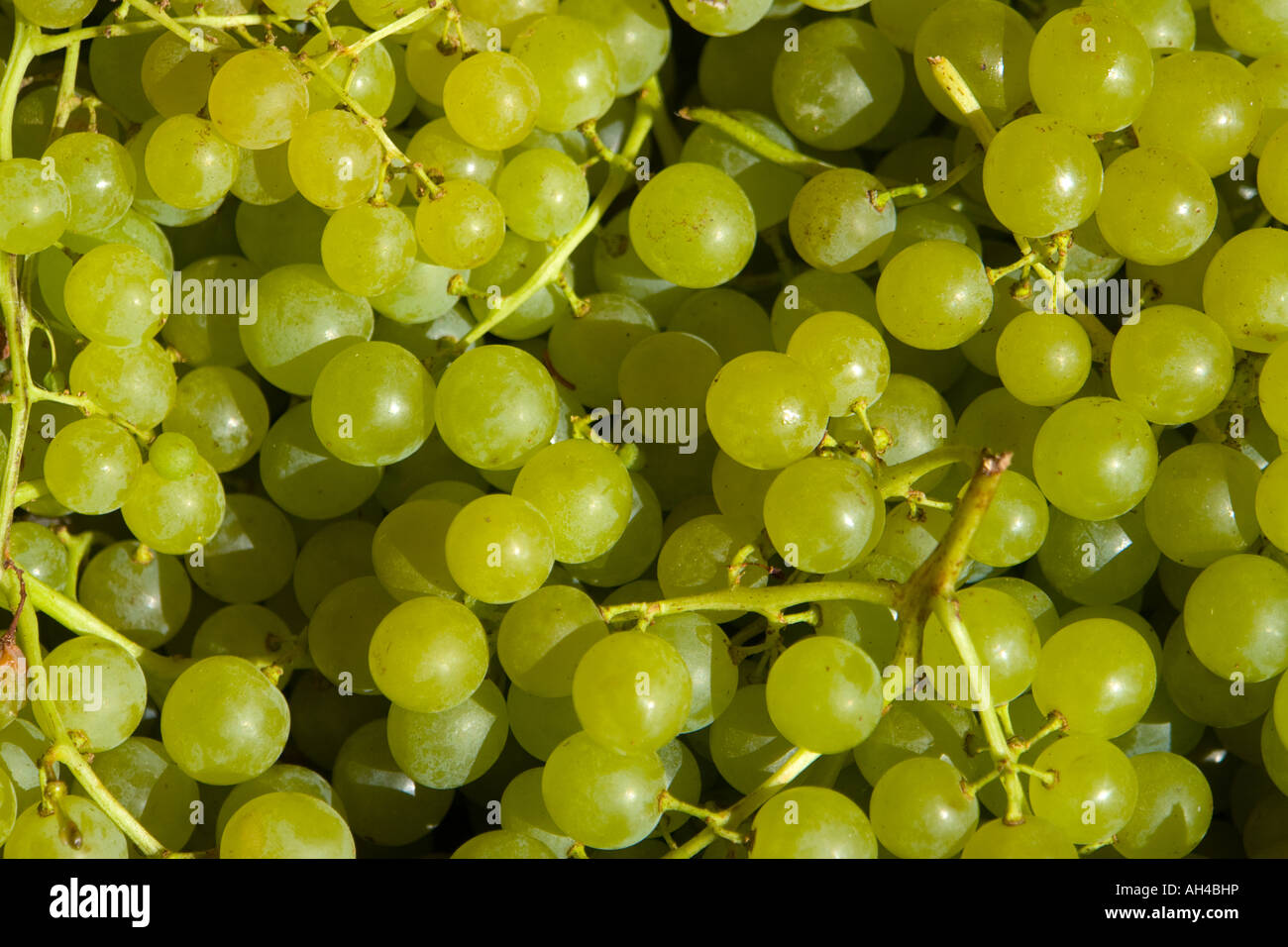 Weiss Wein Stockfotos und -bilder Kaufen - Alamy