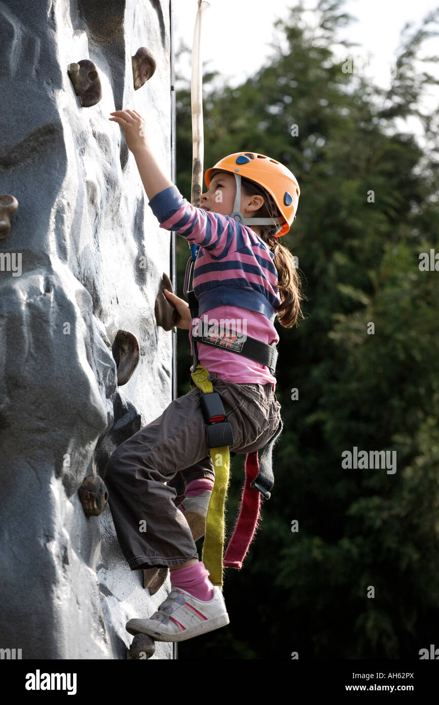 Carabina carabina -Fotos und -Bildmaterial in hoher Auflösung – Alamy