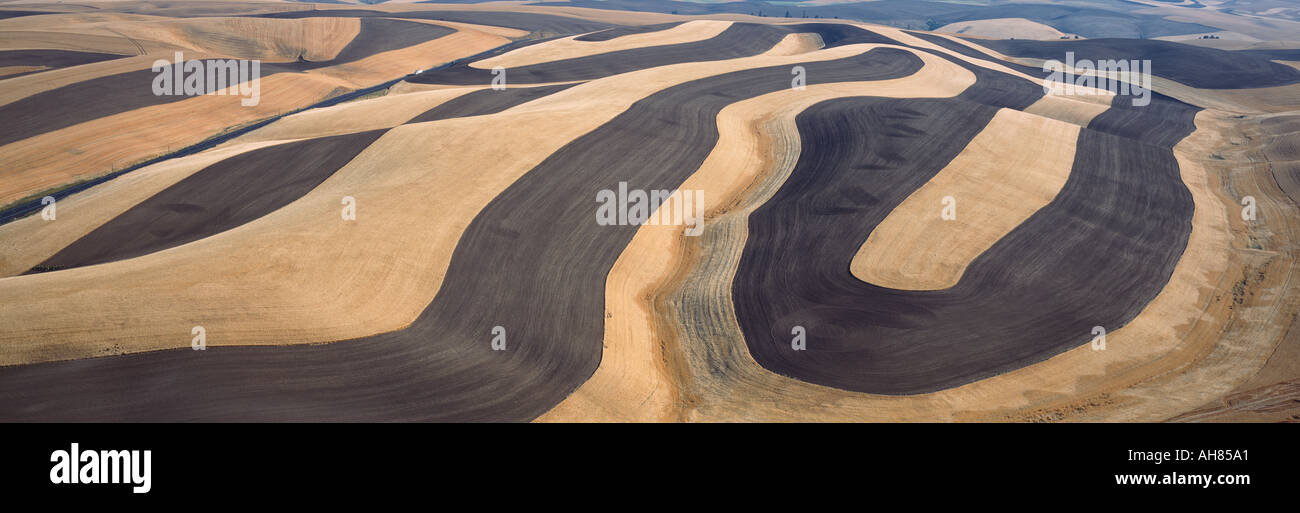 Weizenfelder und Kontur Landwirtschaft S E Washington Stockfotografie ...