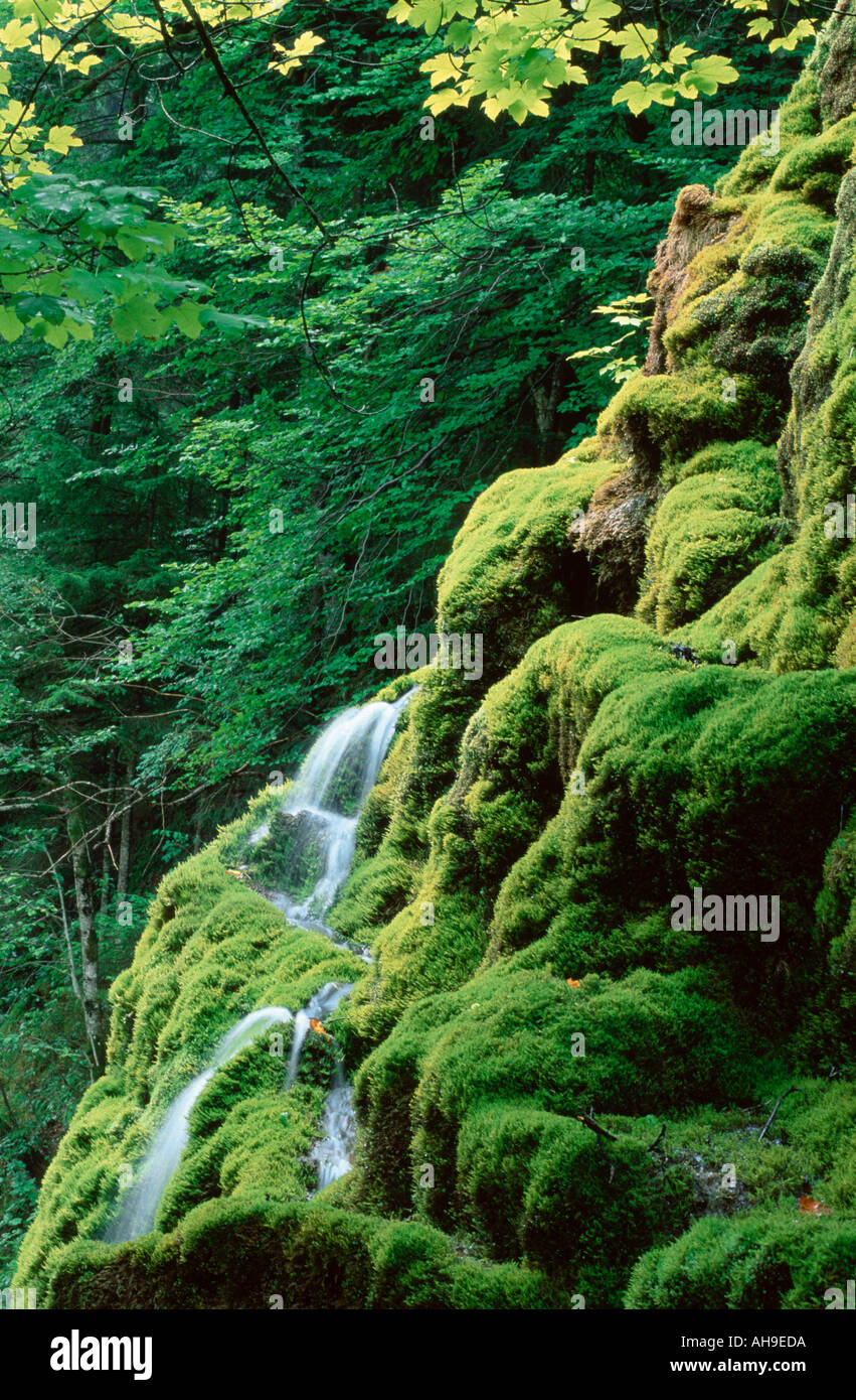Waterfall ammer bavaria germany -Fotos und -Bildmaterial in hoher ...
