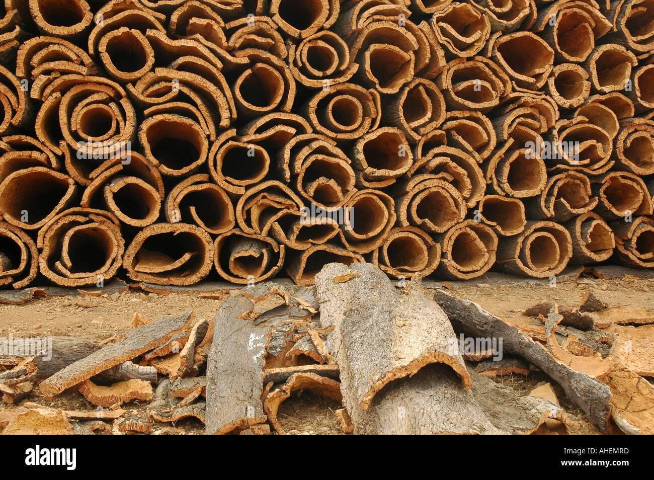 Lagerung von korkeichenrinde -Fotos und -Bildmaterial in hoher ...