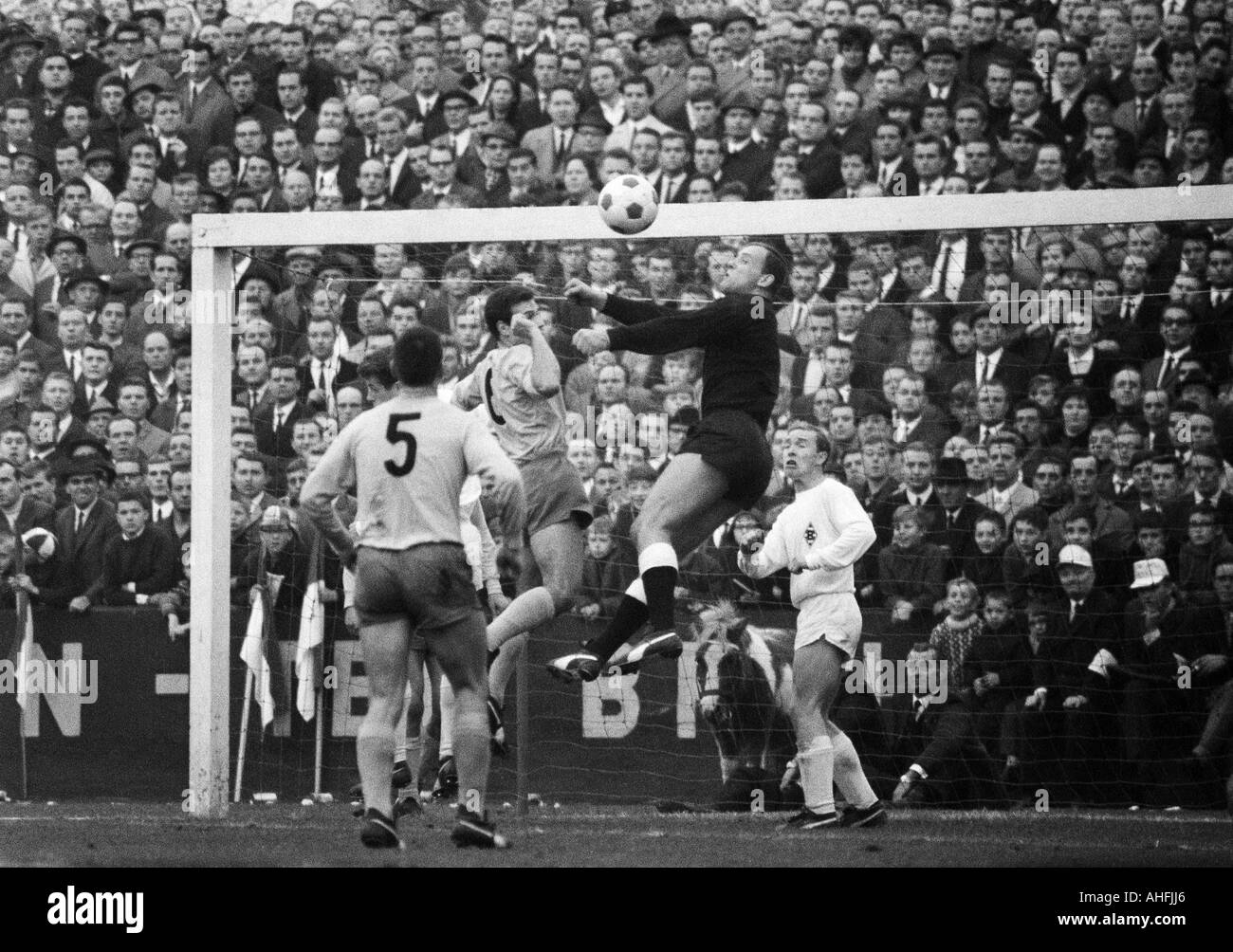 Rwe stadion hafenstrasse Stockfotos und -bilder Kaufen - Seite 2 - Alamy