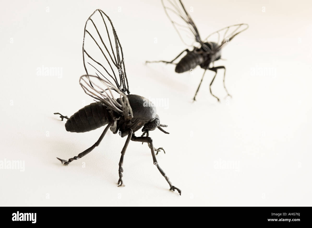 Fliege an der wand -Fotos und -Bildmaterial in hoher Auflösung – Alamy