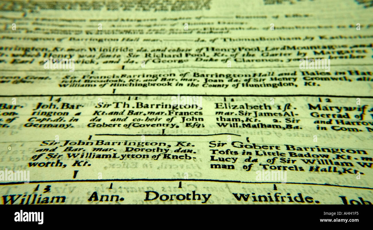 Stammbaum abstammung -Fotos und -Bildmaterial in hoher Auflösung – Alamy