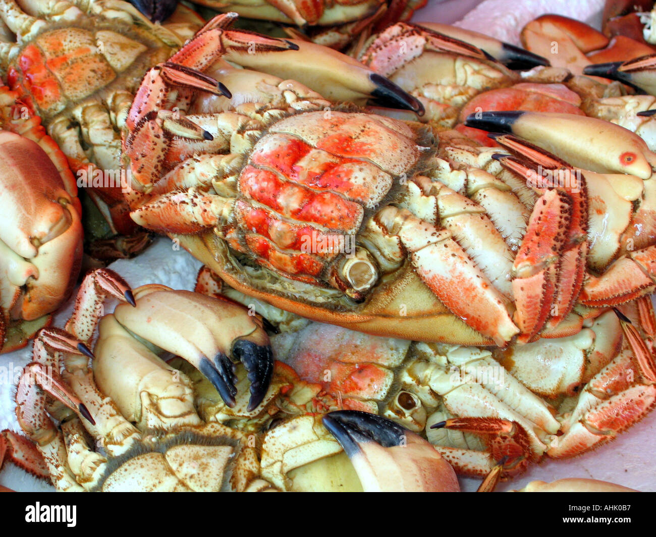 Nahaufnahmedetail von krabben am fischmarkt -Fotos und -Bildmaterial in ...