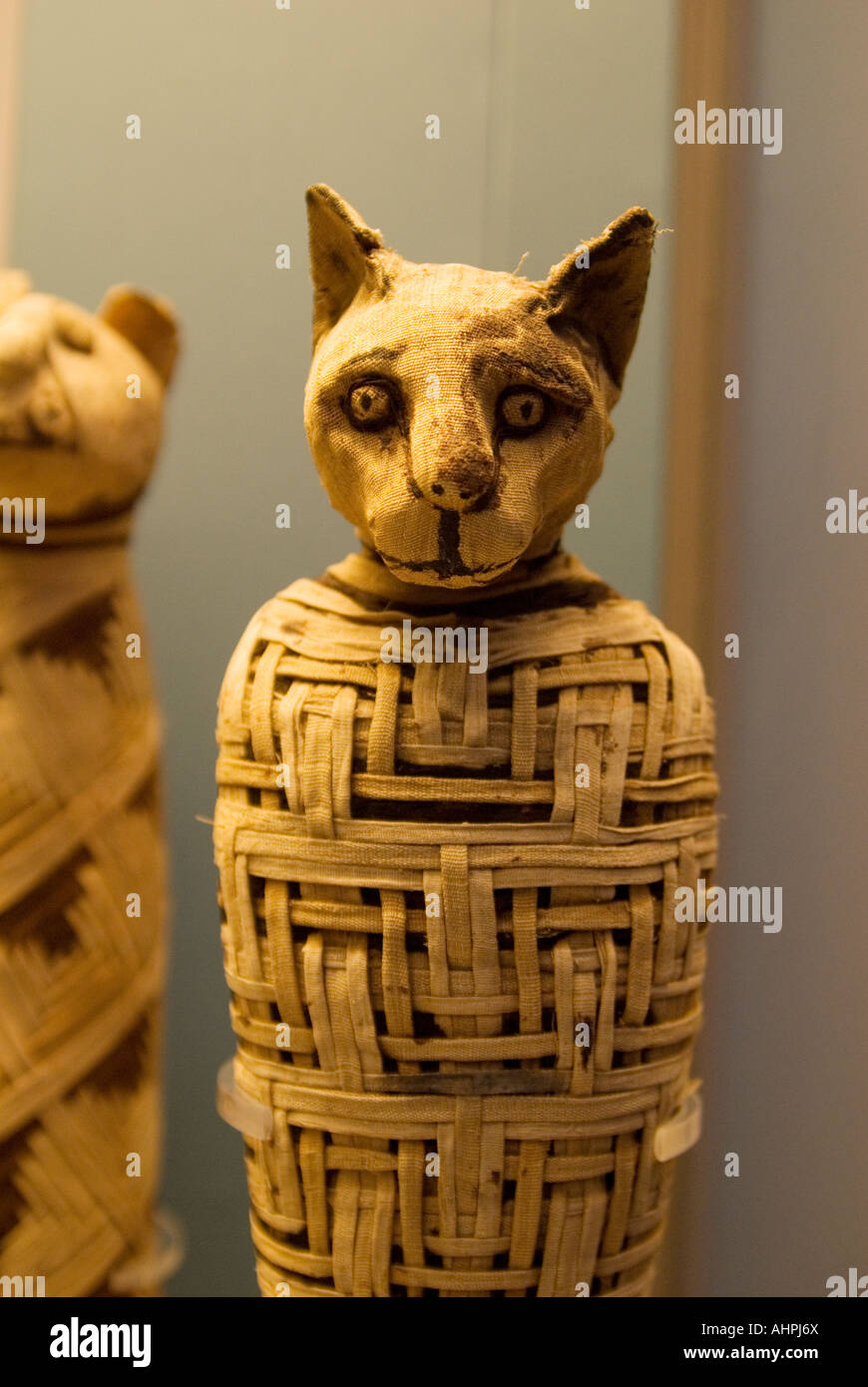 Cat mummy -Fotos und -Bildmaterial in hoher Auflösung – Alamy