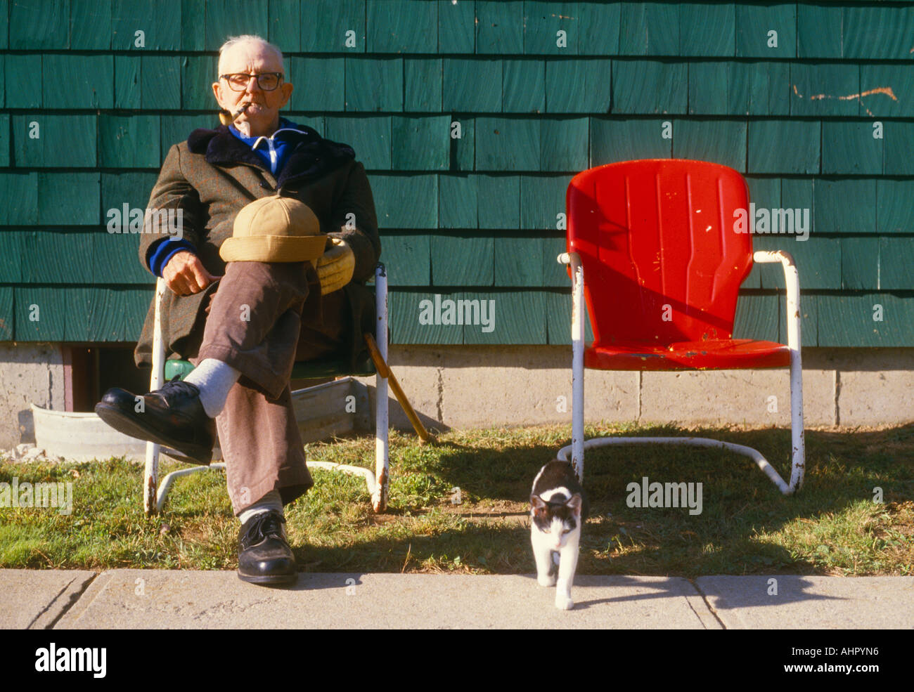 Rauchende katze -Fotos und -Bildmaterial in hoher Auflösung – Alamy