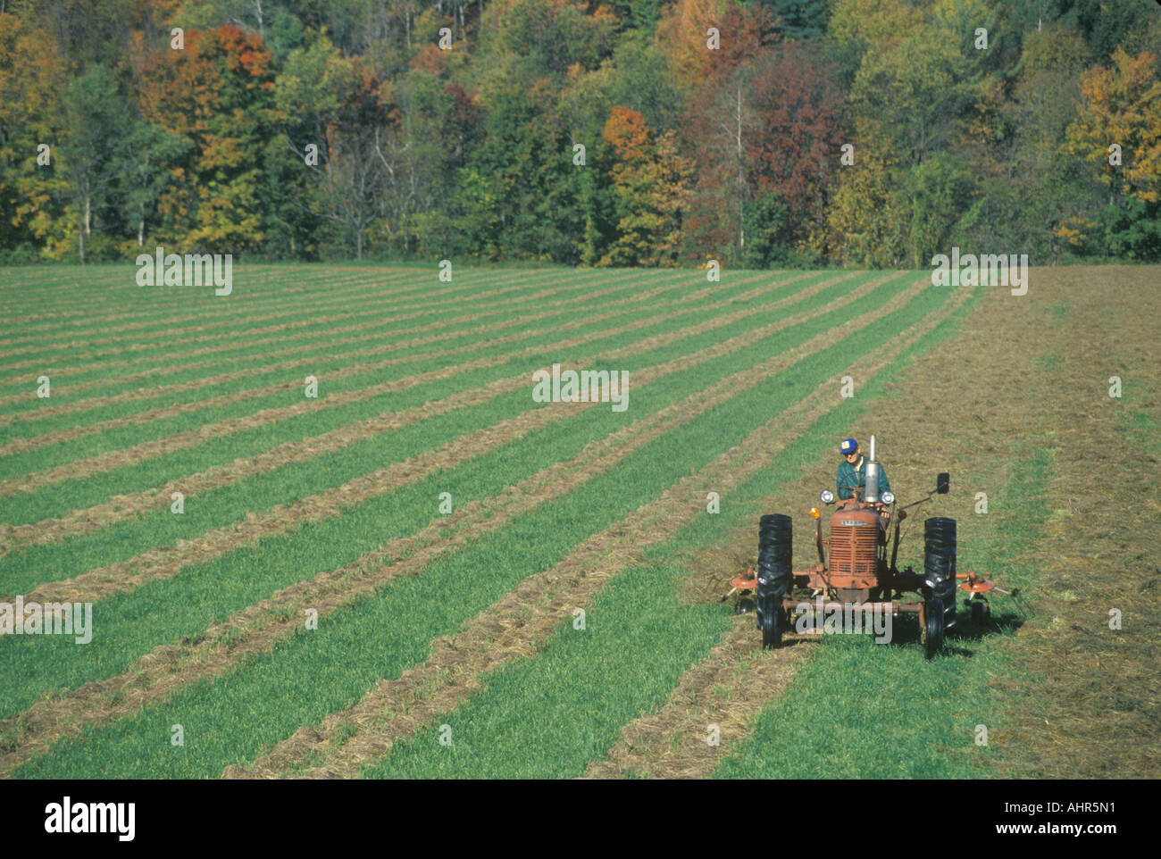Bauer mit dem Traktor im Herbst in Stowe VT Stockfotografie - Alamy