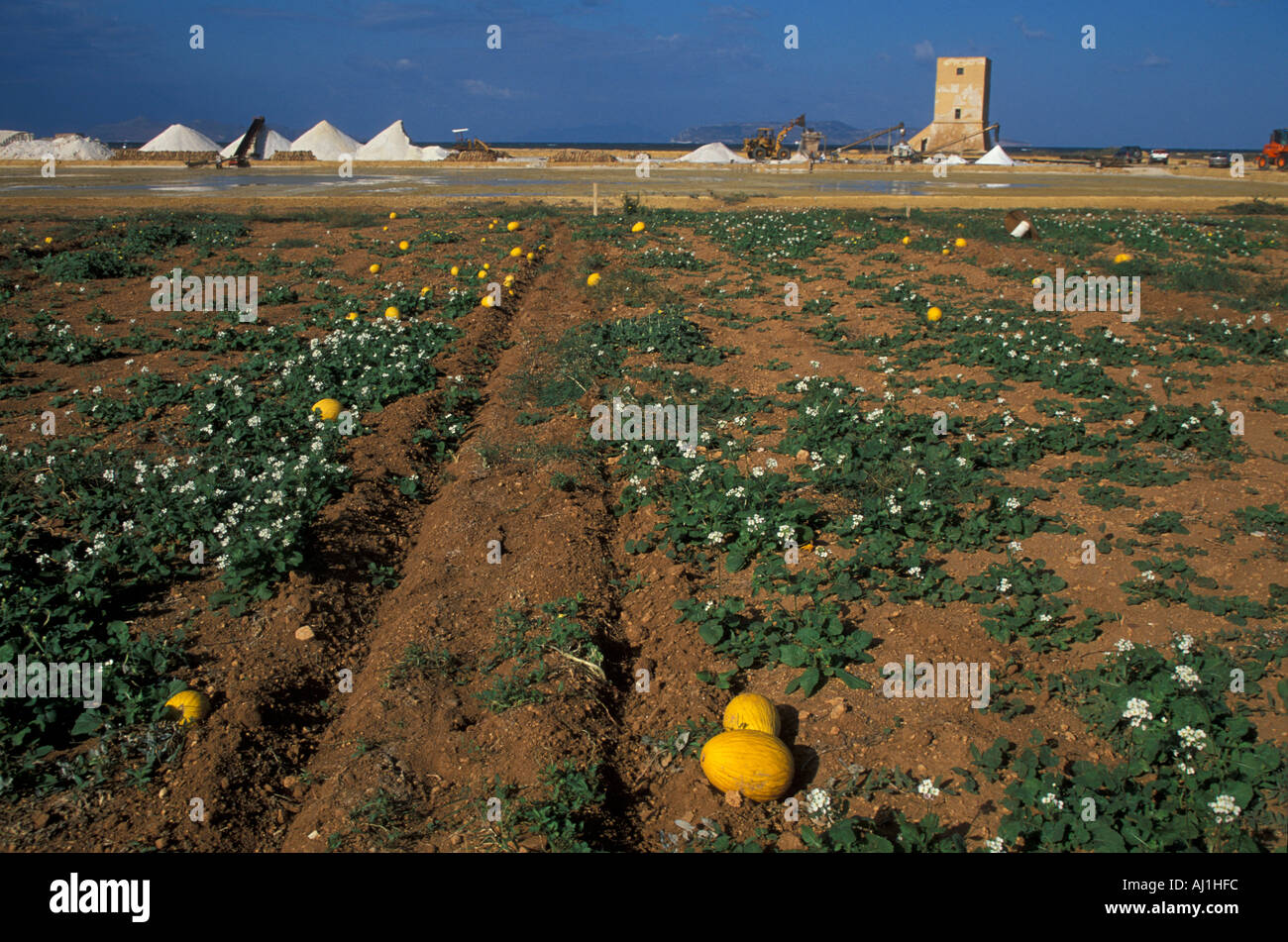 Torre nubia -Fotos und -Bildmaterial in hoher Auflösung – Alamy