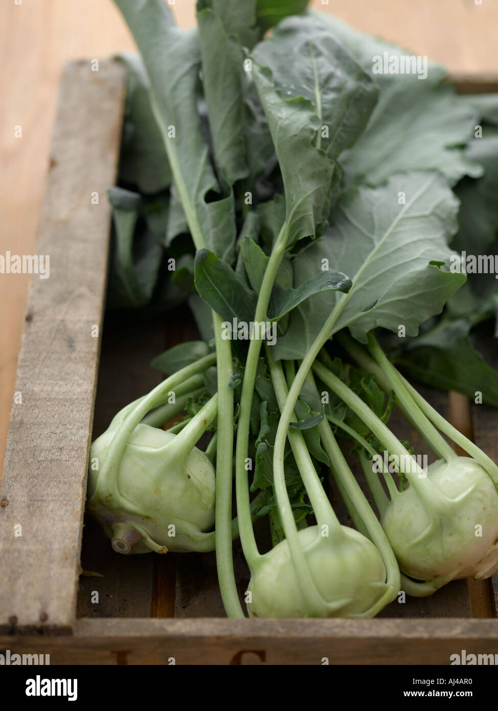 Kohl rabi -Fotos und -Bildmaterial in hoher Auflösung – Alamy