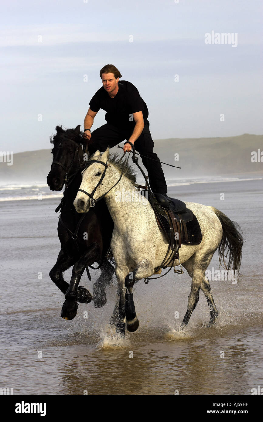 Reiter reitet zwei Pferde Throught das Meer Stockfotografie - Alamy