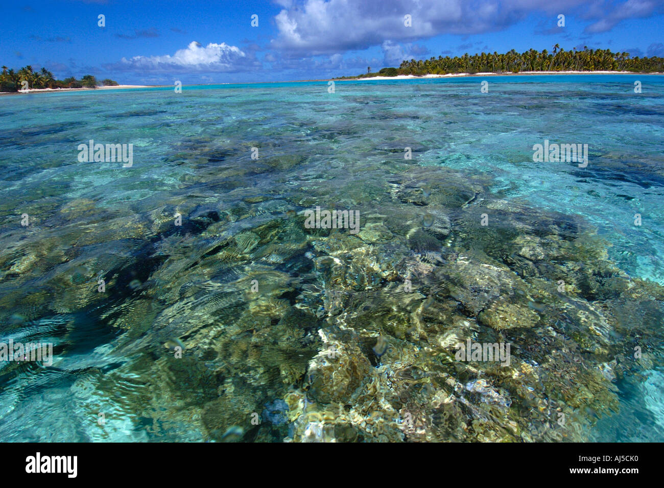 Split-Bild der unberührten Korallenriffe und unbewohnten Insel Ailuk ...