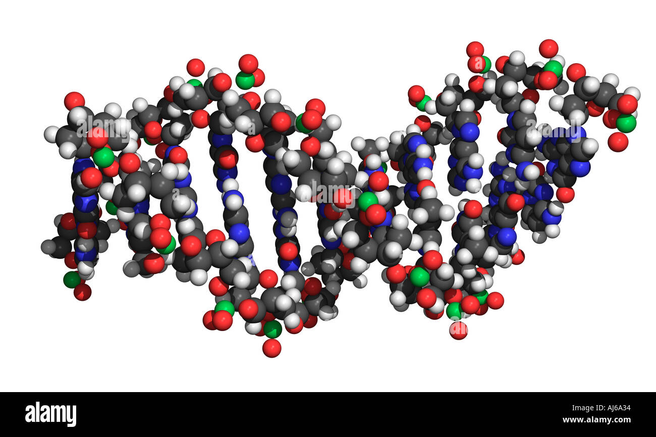 Dna double helix -Fotos und -Bildmaterial in hoher Auflösung – Alamy