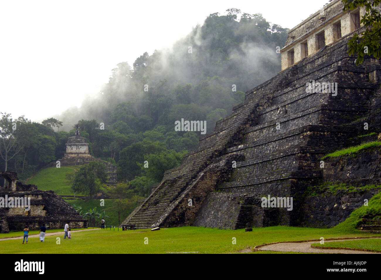 Tempel der Inschriften steigen steil aus dem Dschungel bei Palenque ...