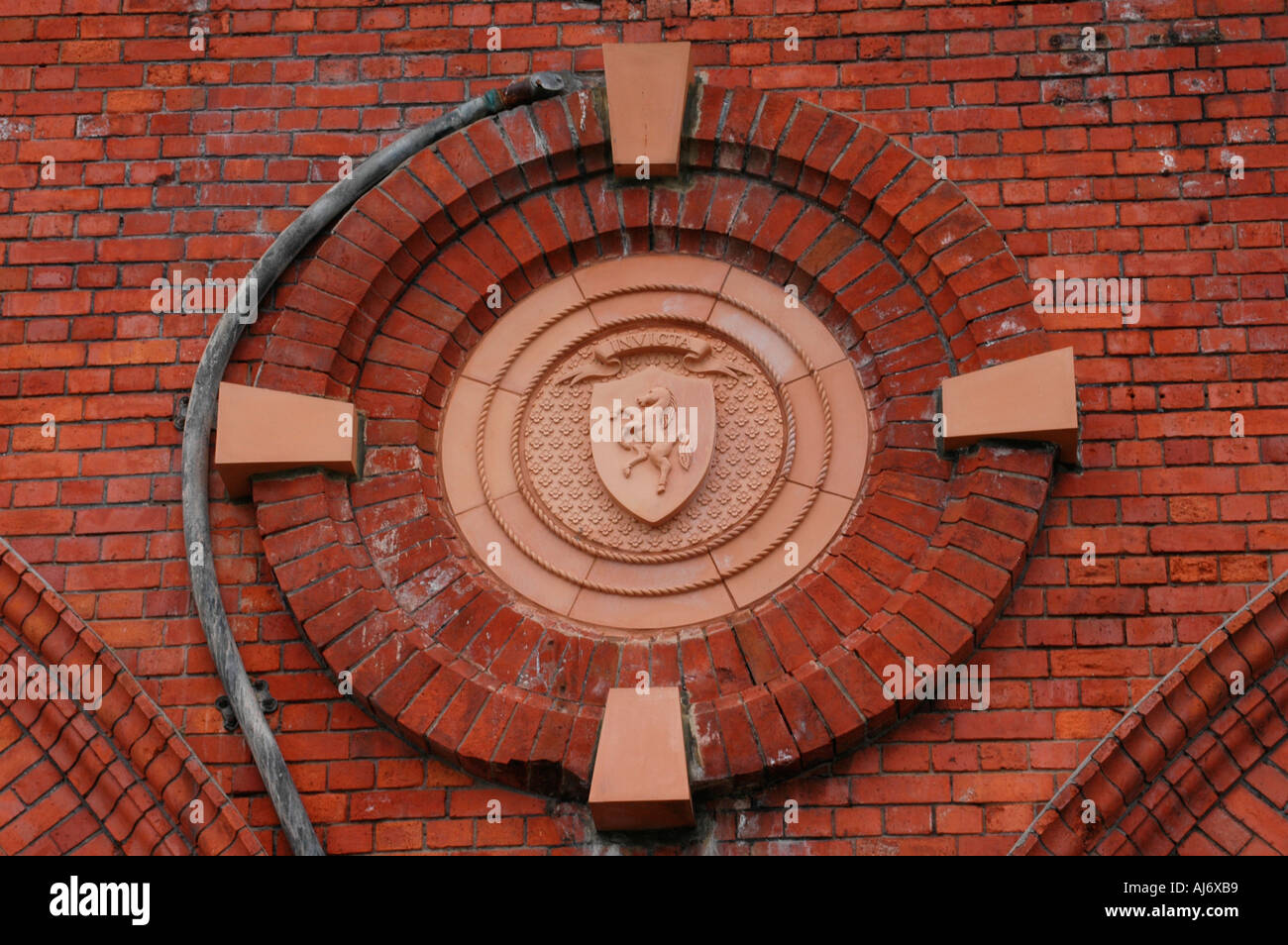 Invicta pferd -Fotos und -Bildmaterial in hoher Auflösung – Alamy